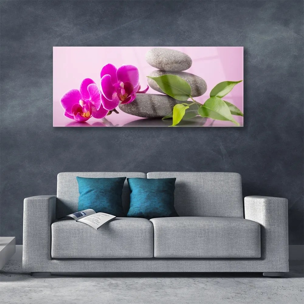 Plexisklo-obraz Květ Kameny Zen Rostlina 125x50 cm