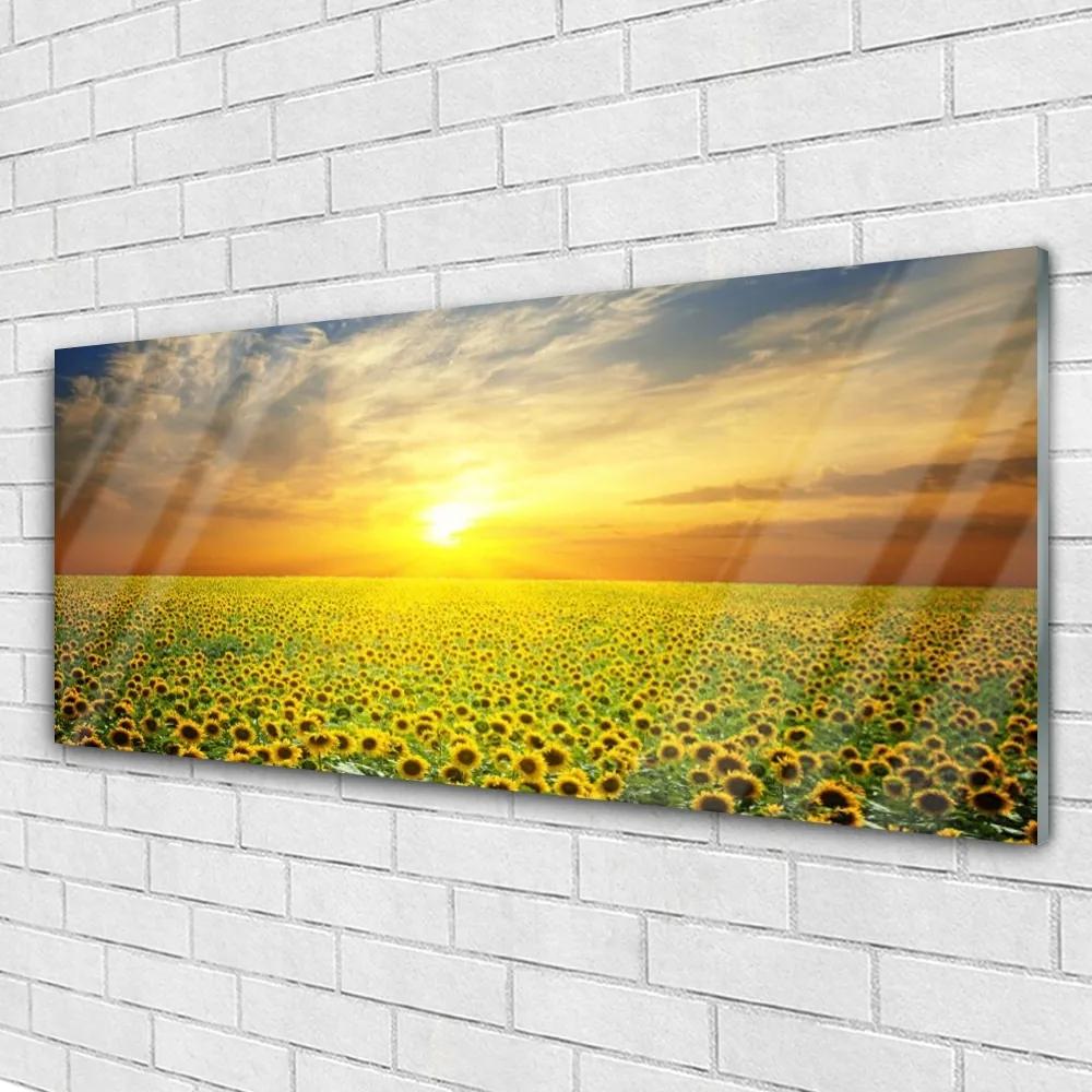 akrylový obraz Slunce Louka Slunečnice 125x50 cm