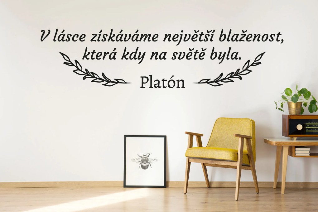 Samolepka na zeď Platón citát Barevná varianta: Bílá, Velikost (šířka x výška): 80x20cm