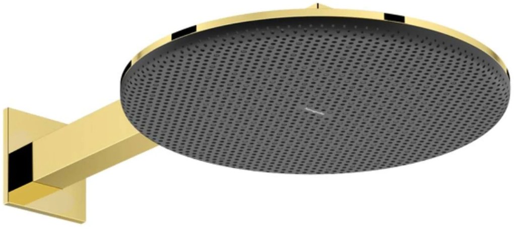 Hansgrohe Raindance Alive S - Hlavová sprcha, průměr 30 cm, 2 proudy, leštěný vzhled zlata 24540990