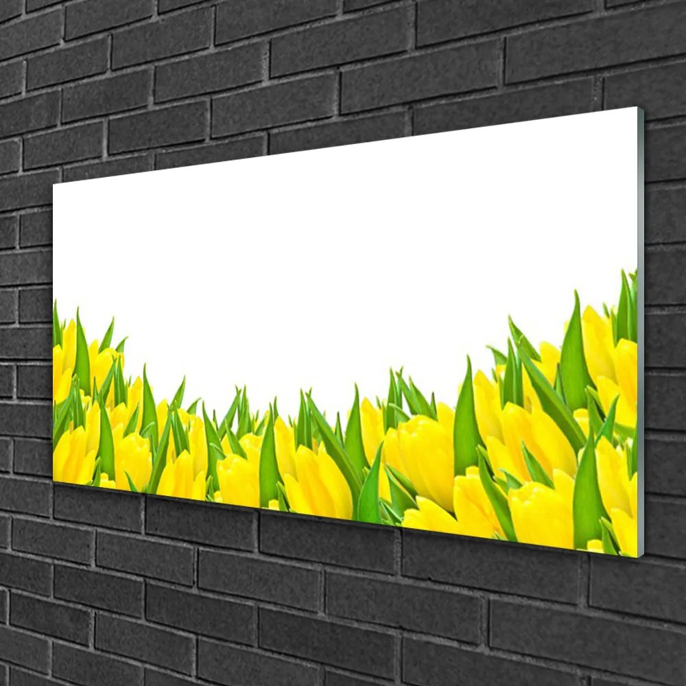 Obraz na skle Květiny Příroda Tulipány 125x50 cm