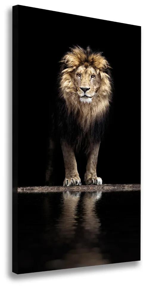 Wallmuralia Vertikální Vertikální Foto obraz na plátně do obýváku Portrét lva 50x100
