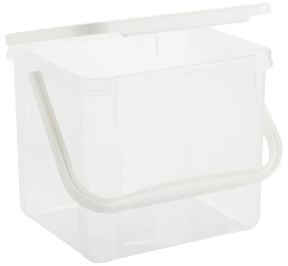 Rotho Nádoba na prací prášek, granule nebo bioodpad – 4,5 l DETERGENT Transparentní