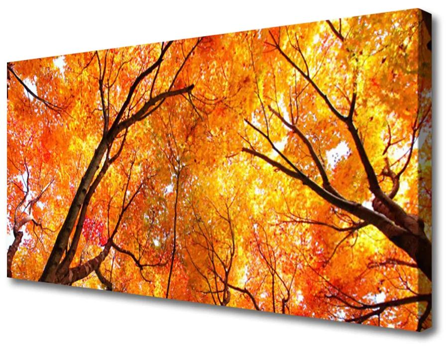 Obraz na plátně Stromy Příroda 120x60 cm