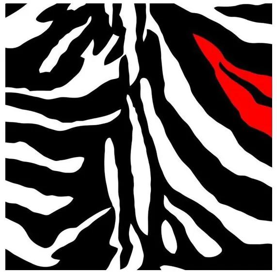 Obraz s motivem zebry (30x30 cm), 40 dalších rozměrů