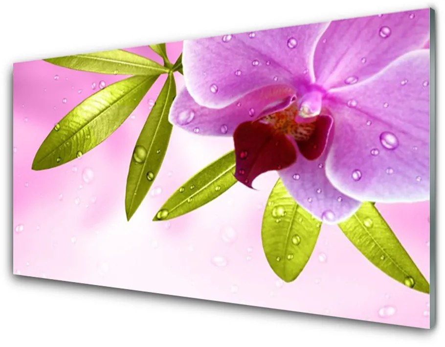 akrylový obraz Květ Listy Rostlina 140x70 cm