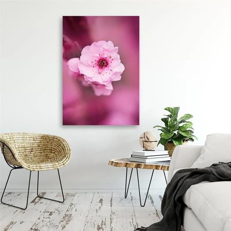 Obraz na plátně Třešňový květ růžová příroda - 60x90 cm