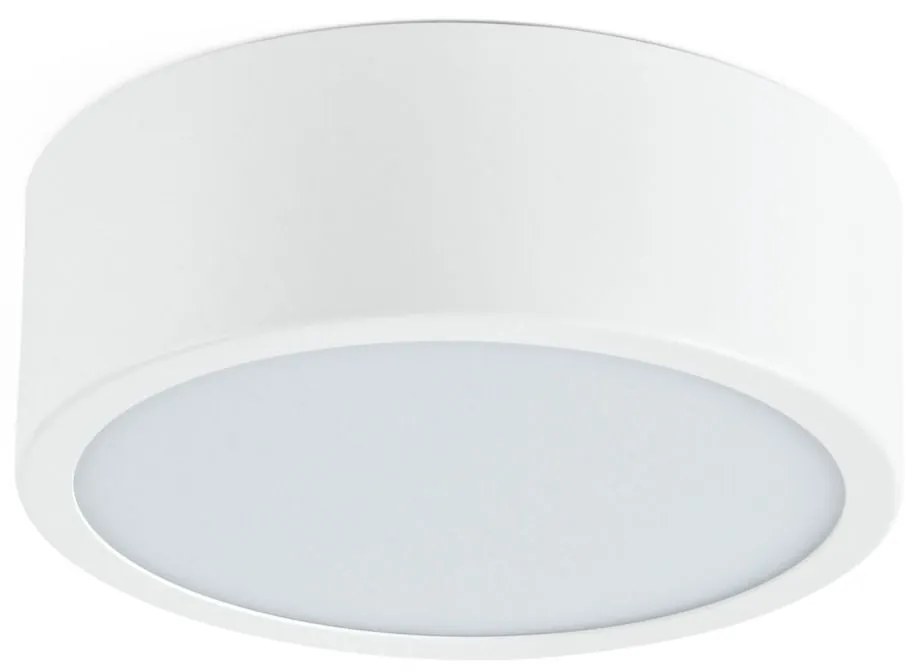 Linea Light 8238N Box_SR, bílé stropní svítidlo, 17W LED 4000K, prům. 24cm
