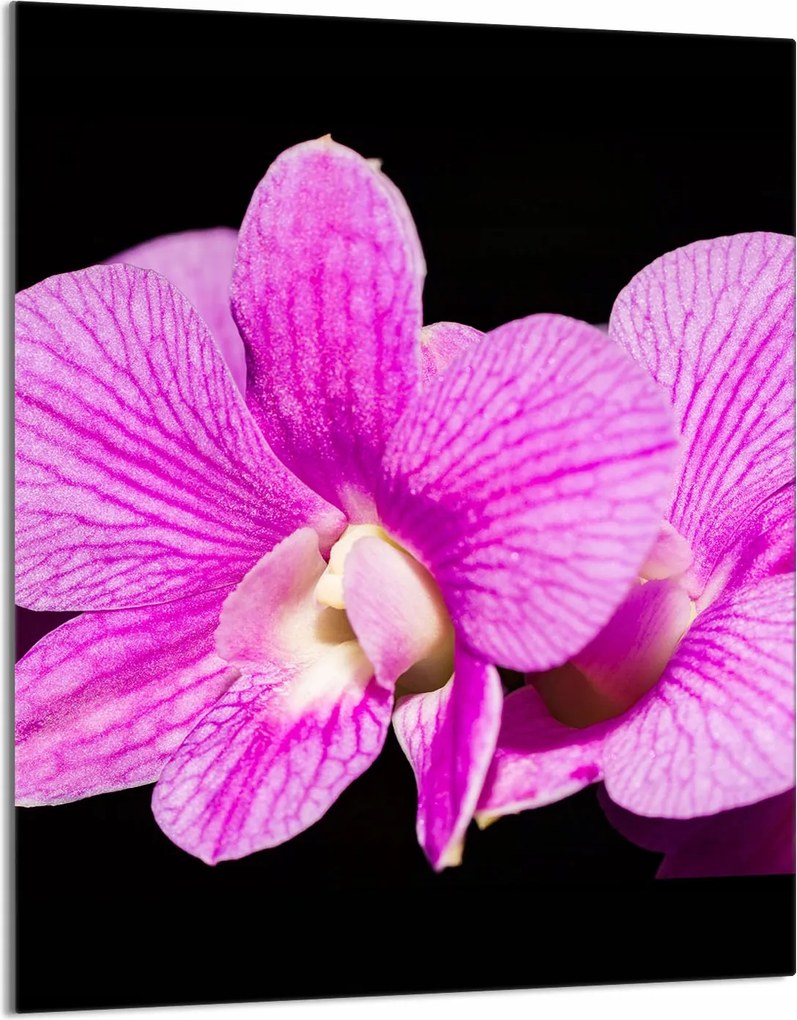 Skleněná Krájecí Deska 40x52 Orchidej Do Kuchyně