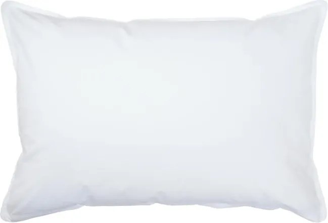 SCANquilt polštář EXCLUSIVE SATÉN - bavlna s Aloe vera 50 x 70 cm