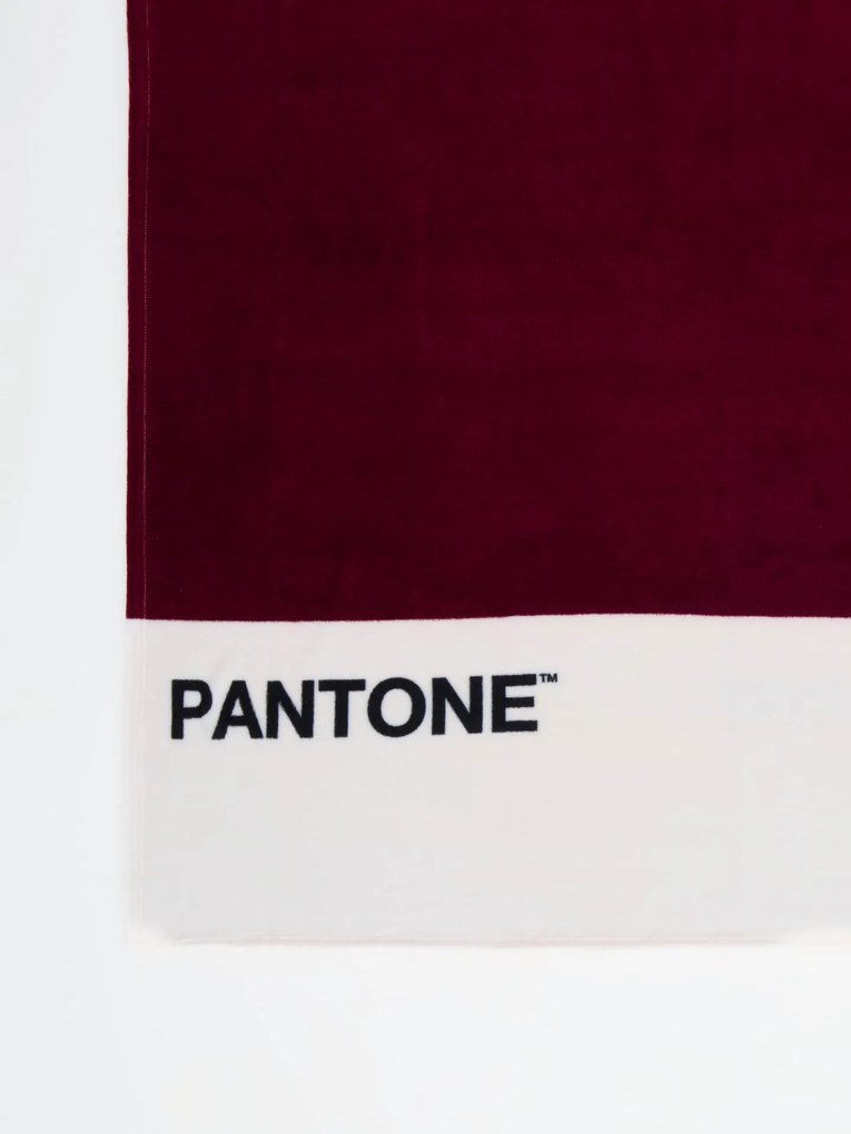 Sinsay - Deka Pantone - kaštanová