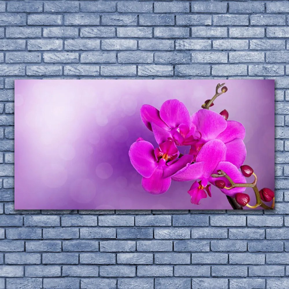 Obraz na plátně Květiny Plátky Orchidej 120x60 cm