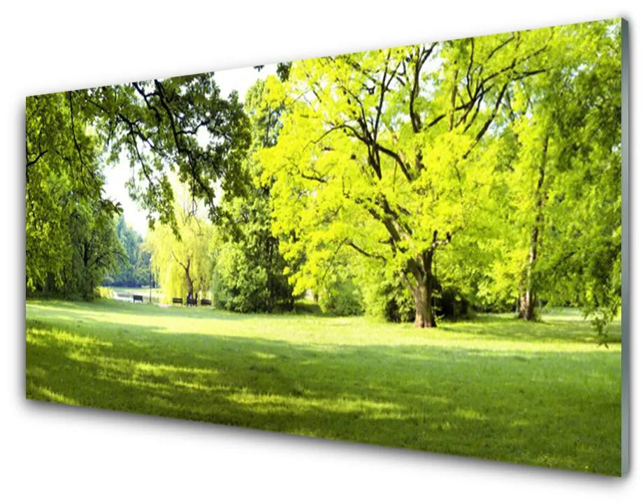 Plexisklo-obraz Tráva Stromy Park Příroda 100x50 cm