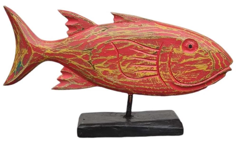 Ryba bojovnice červená 50 cm