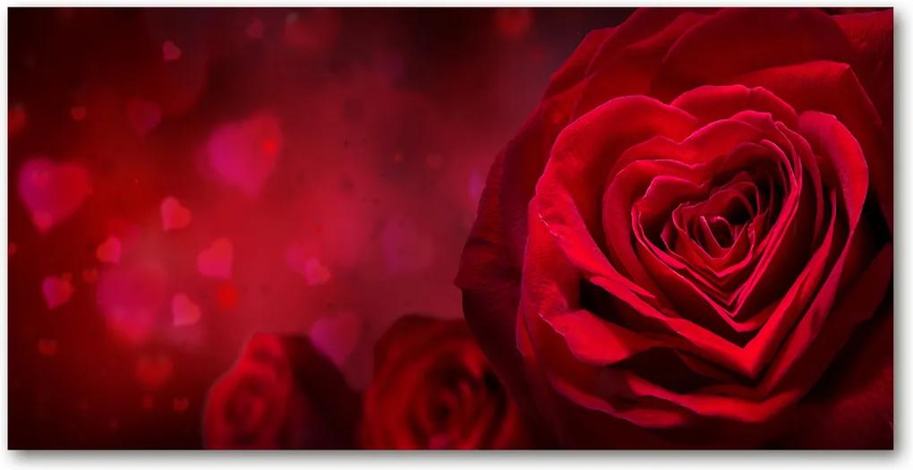 Foto obraz skleněný horizontální Červená růže srdce