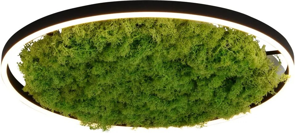 GREEN RITUS LED stropní svítidlo, 3650 lm, 28 W