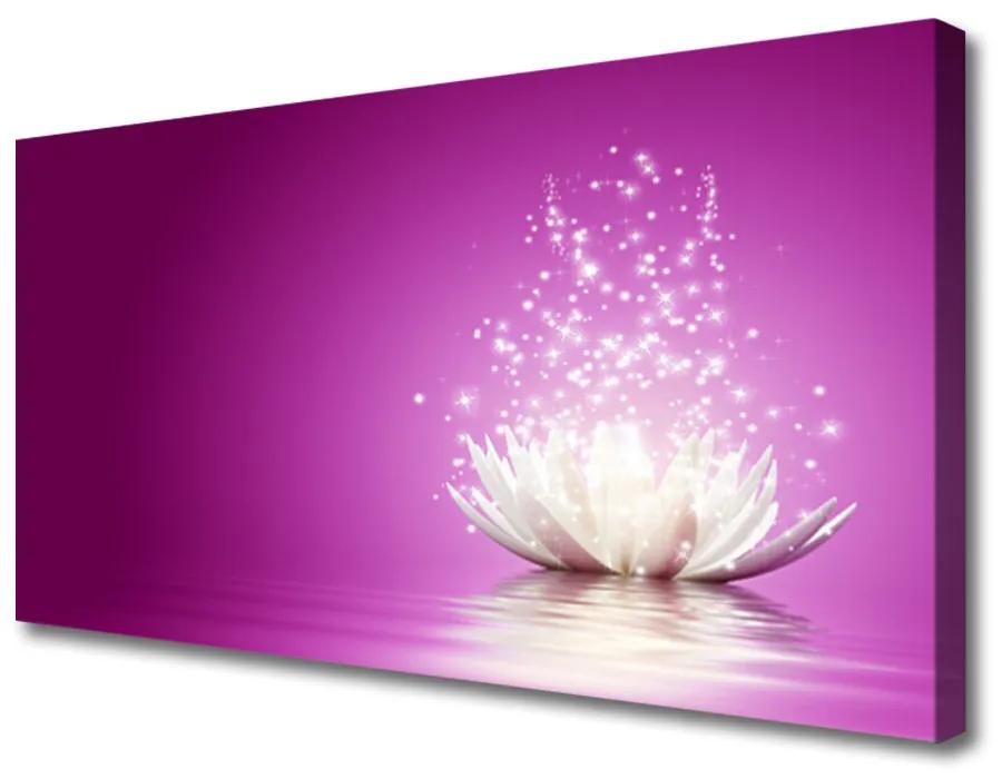 Obraz na plátně Květ Lotosu 100x50cm