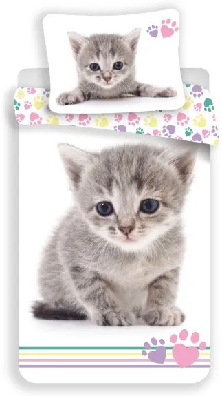 Jerry Fabrics Povlečení fototisk Kitten colour 140x200, 70x90 cm