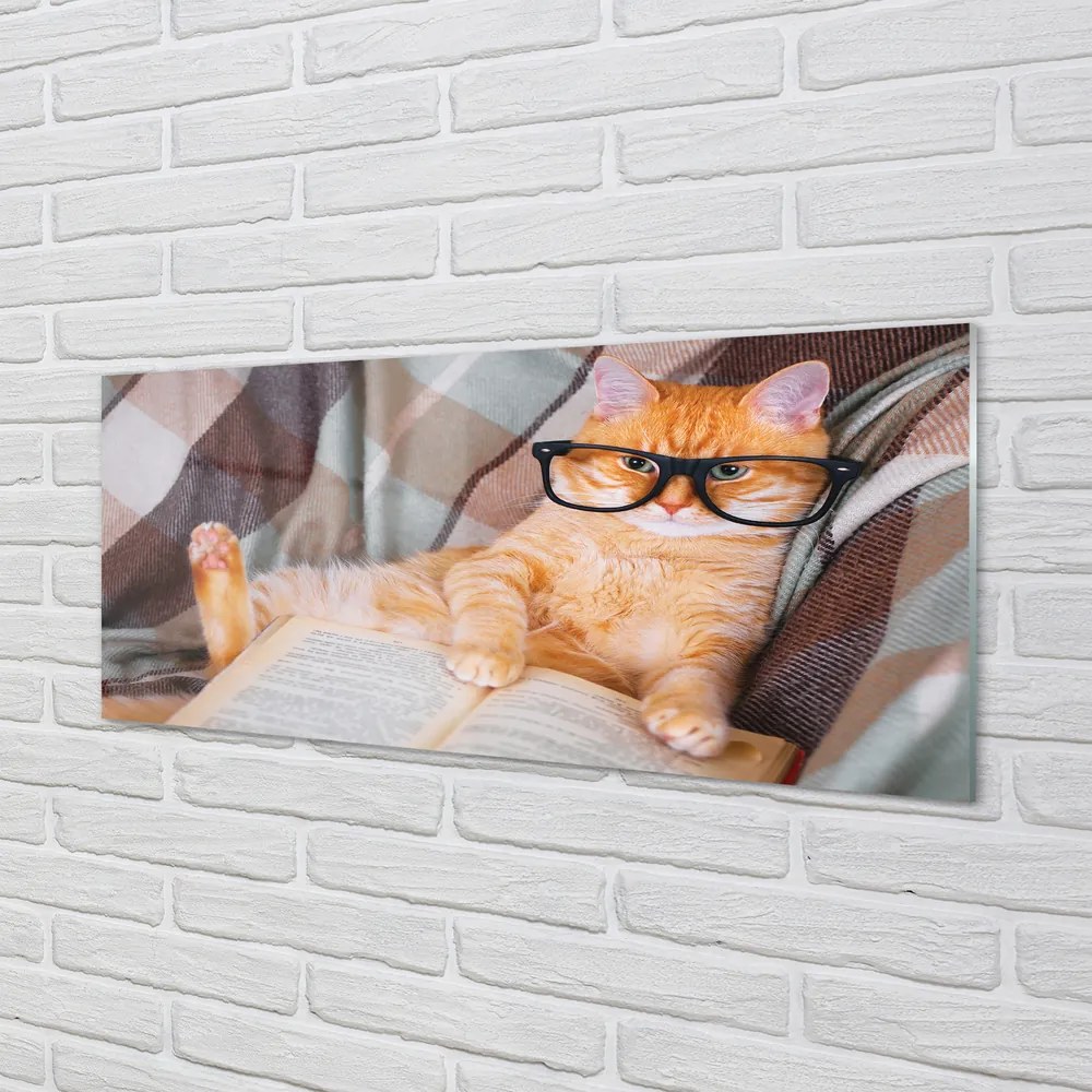 akrylový obraz Čtenář cat 120x60 cm