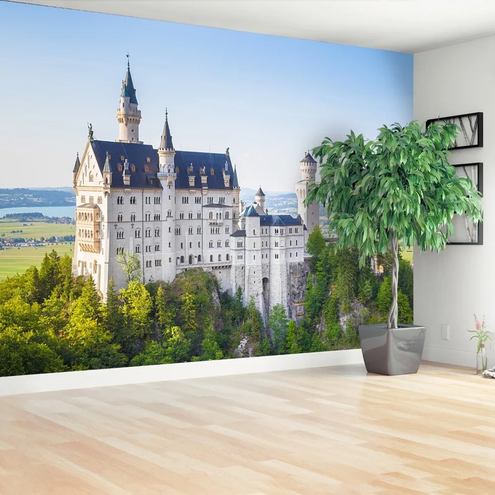 Fototapeta Neuschwanstein 104x70