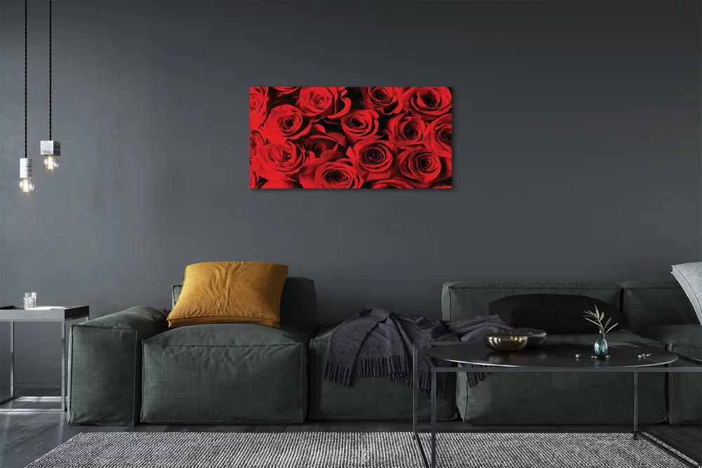 Obrazy na plátně Růže 140x70 cm