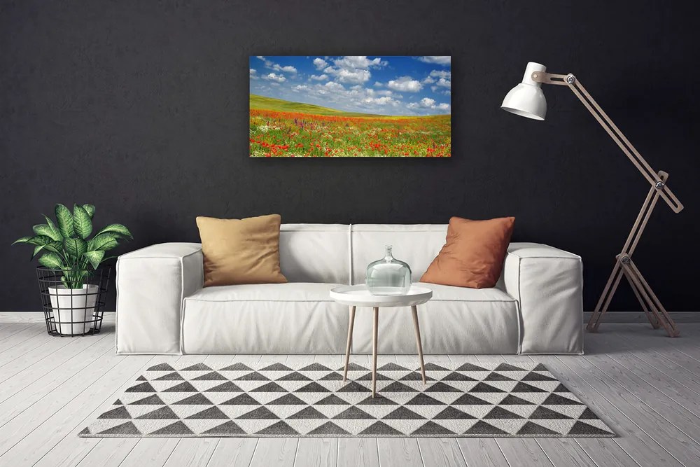 Obraz na plátně Louka Květiny Krajina 125x50 cm