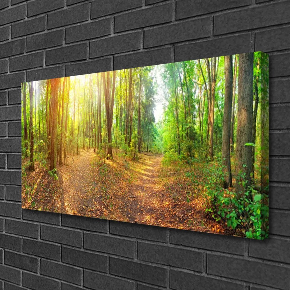 Obraz na plátně Slunce Příroda Lesní Stezka 140x70 cm