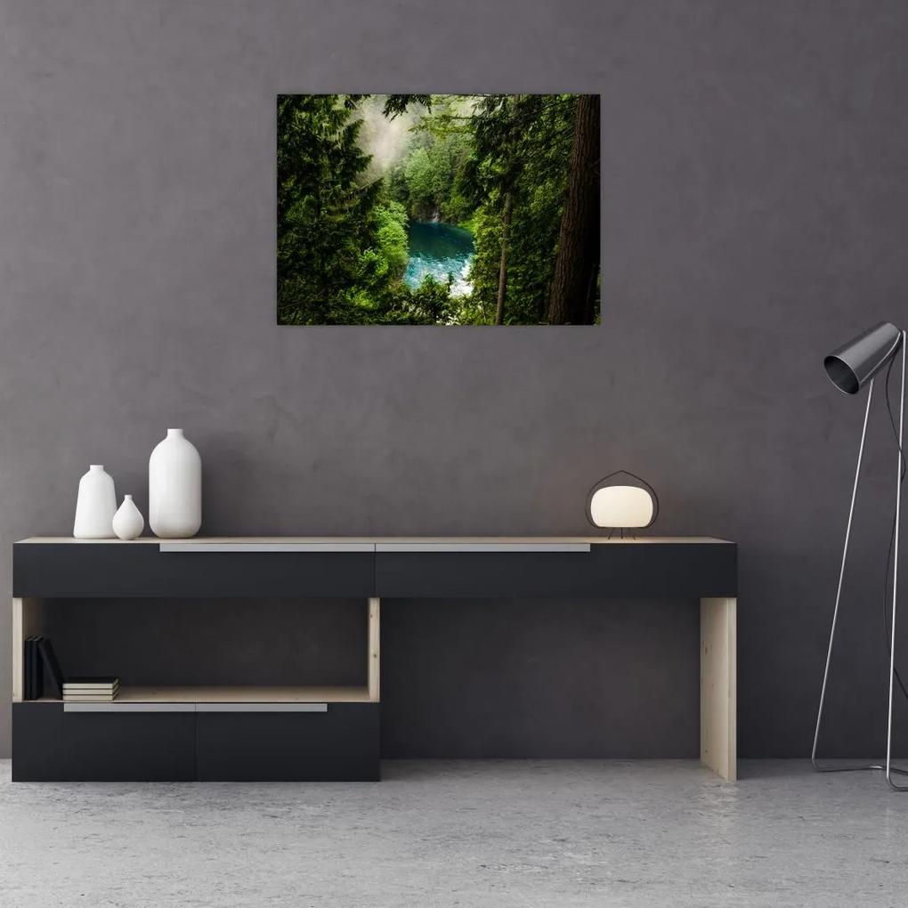 Skleněný obraz - Průzor mezi stromy (70x50 cm)