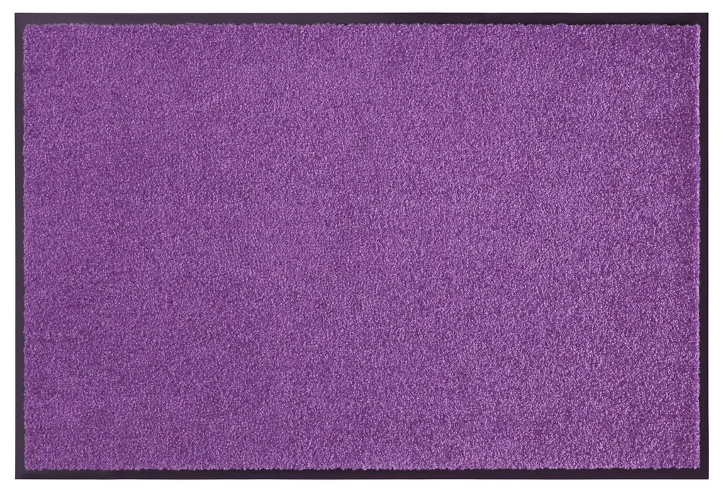 Hanse Home Collection koberce Rohožka Wash & Clean 103838 Violett ROZMĚR: 40x60