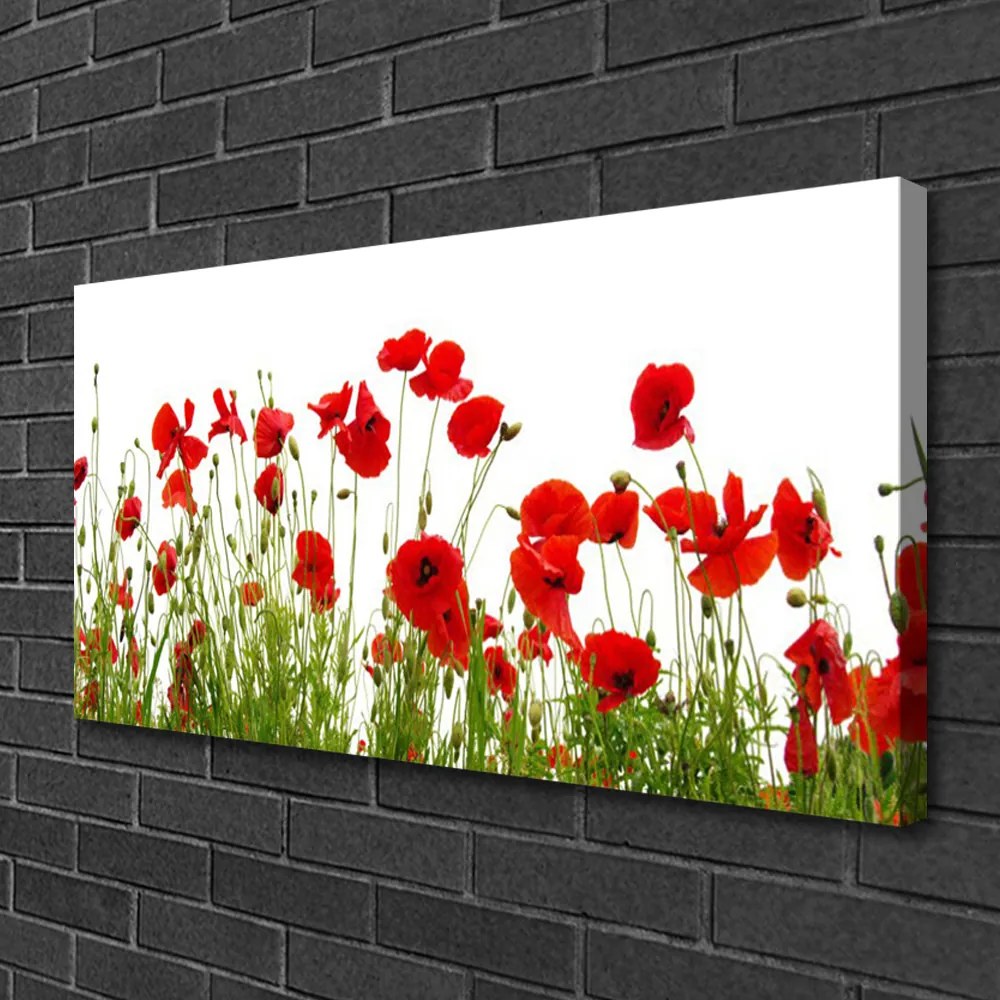 Obraz na plátně Máky Květiny Příroda 140x70 cm
