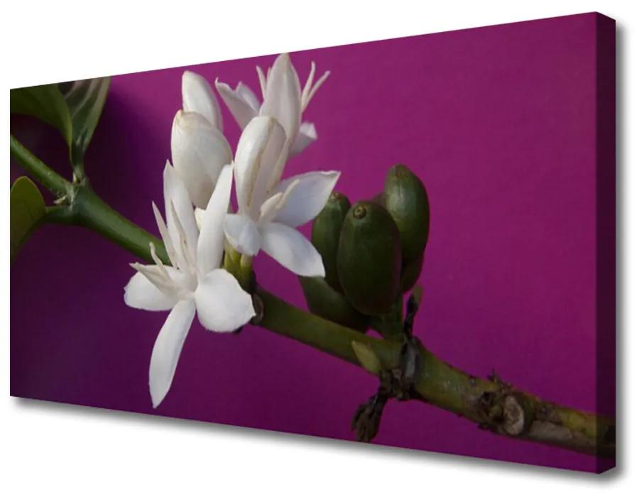 Obraz na plátně Květiny Úhonky Příroda 140x70 cm