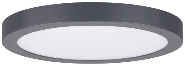 Paulmann 70988 - LED/22W Stropní svítidlo ABIA 230V antracit