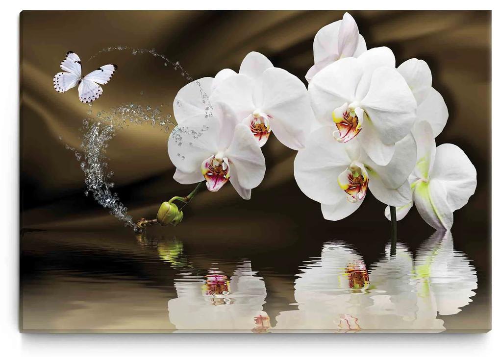 Malvis ® Obraz Motýlí orchidej nad hladinou Velikost: 150x100 cm