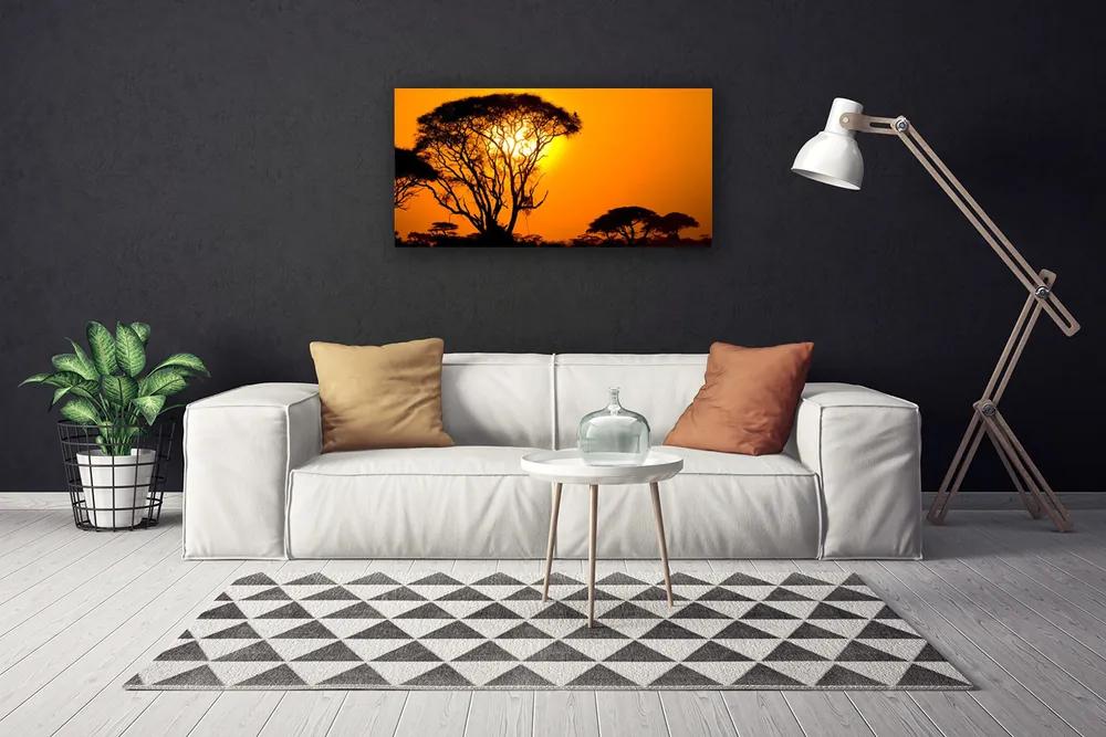 Obraz na plátně Strom Slunce Příroda 140x70 cm