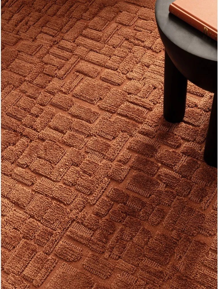 Koberec v terakotové barvě 200x290 cm – Asiatic Carpets