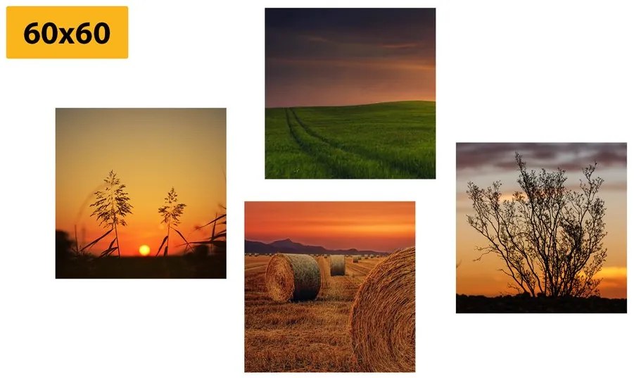 Set obrazů romantický západ slunce na louce