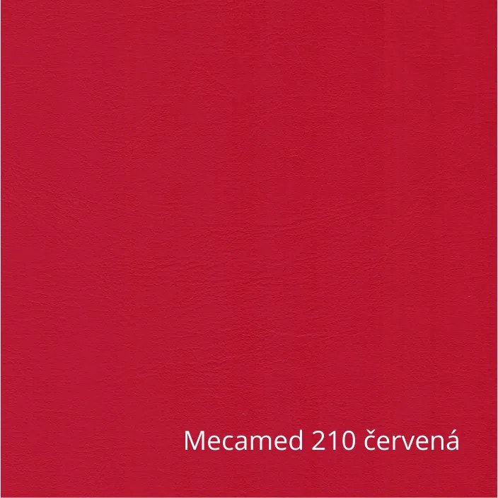 SEGO CZ Zdravotní židle SEGO Stand N koženka Barva: 110 Černá