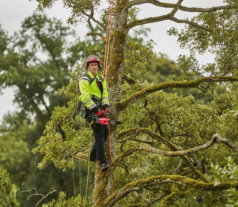 Akumulátorová řetězová pila CRAMER 82TCS15 (Dodáváno bez baterie a nabíječky)