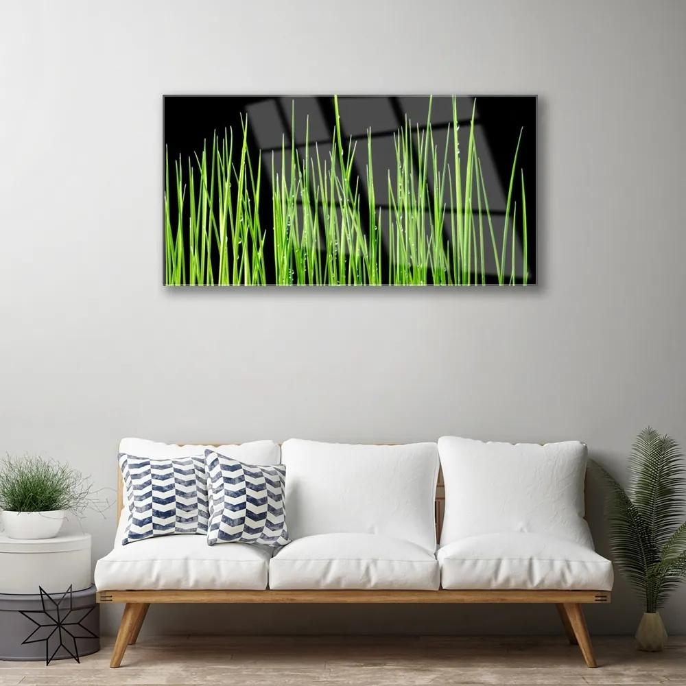 Obraz na skle Plevel 100x50 cm