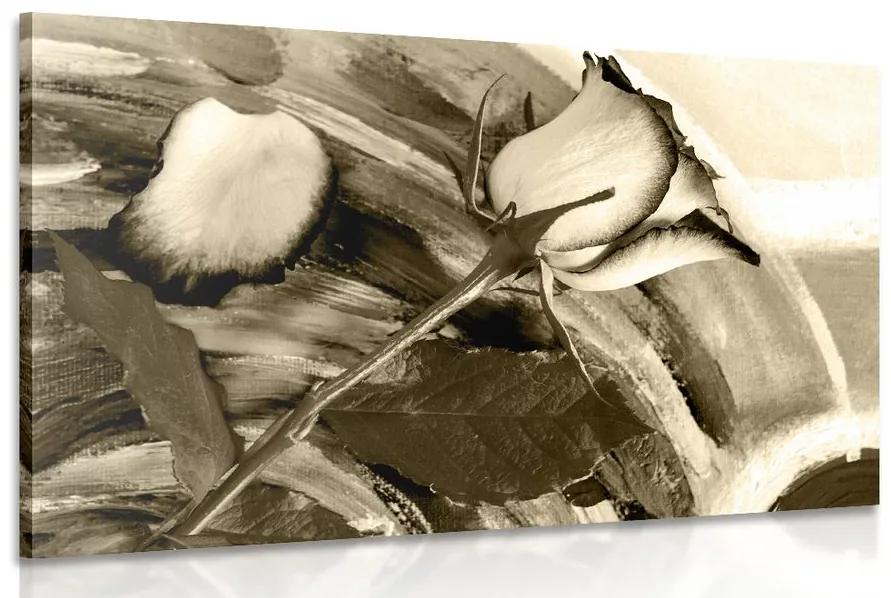 Obraz růže v sépiovém provedení Varianta: 120x80