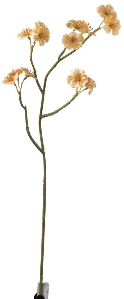 Větvička s béžovými květy Tweedia - 7*10*51 cm
