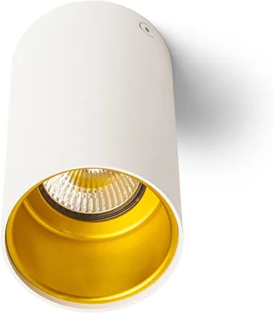 RENDL R12745 TUBA přisazené svítidlo, downlight matná bílá/zlatá