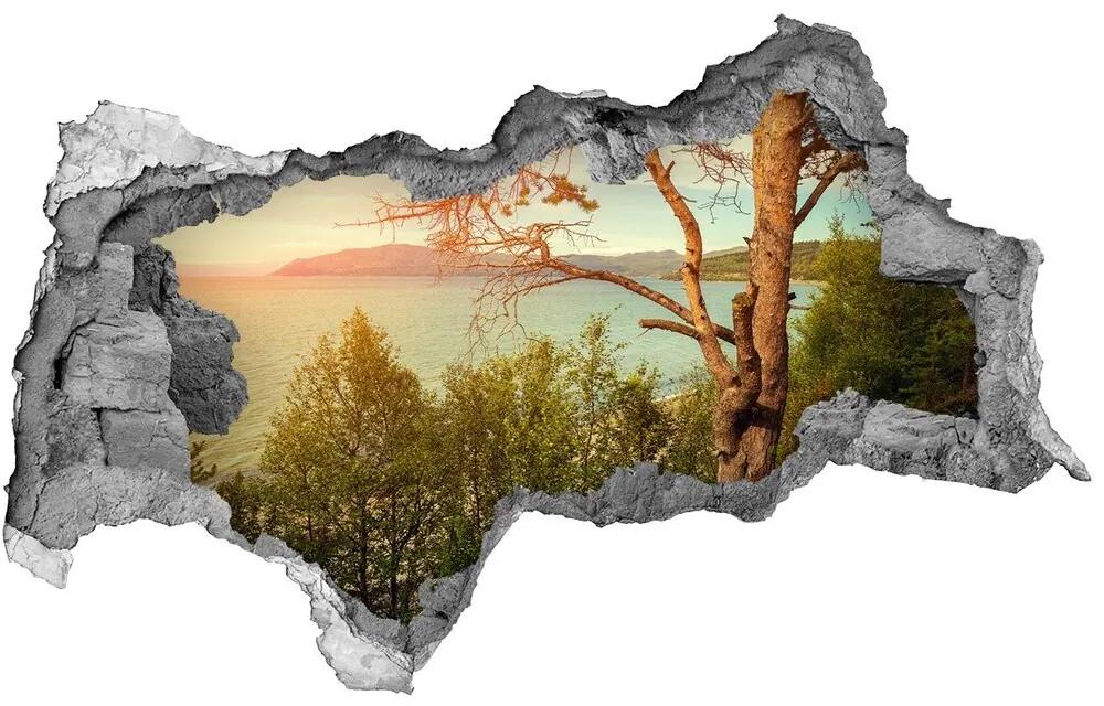 Wallmuralia Díra 3D ve zdi nálepka Skandináie jezero 95x73 cm