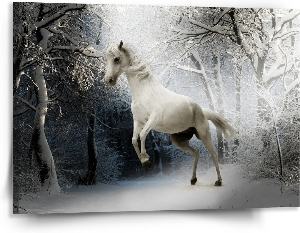 Obraz SABLO - Bílý kůň 150x110 cm