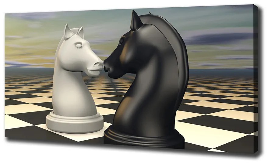 Wallmuralia Foto obraz canvas Šachy koně 140x70 cm