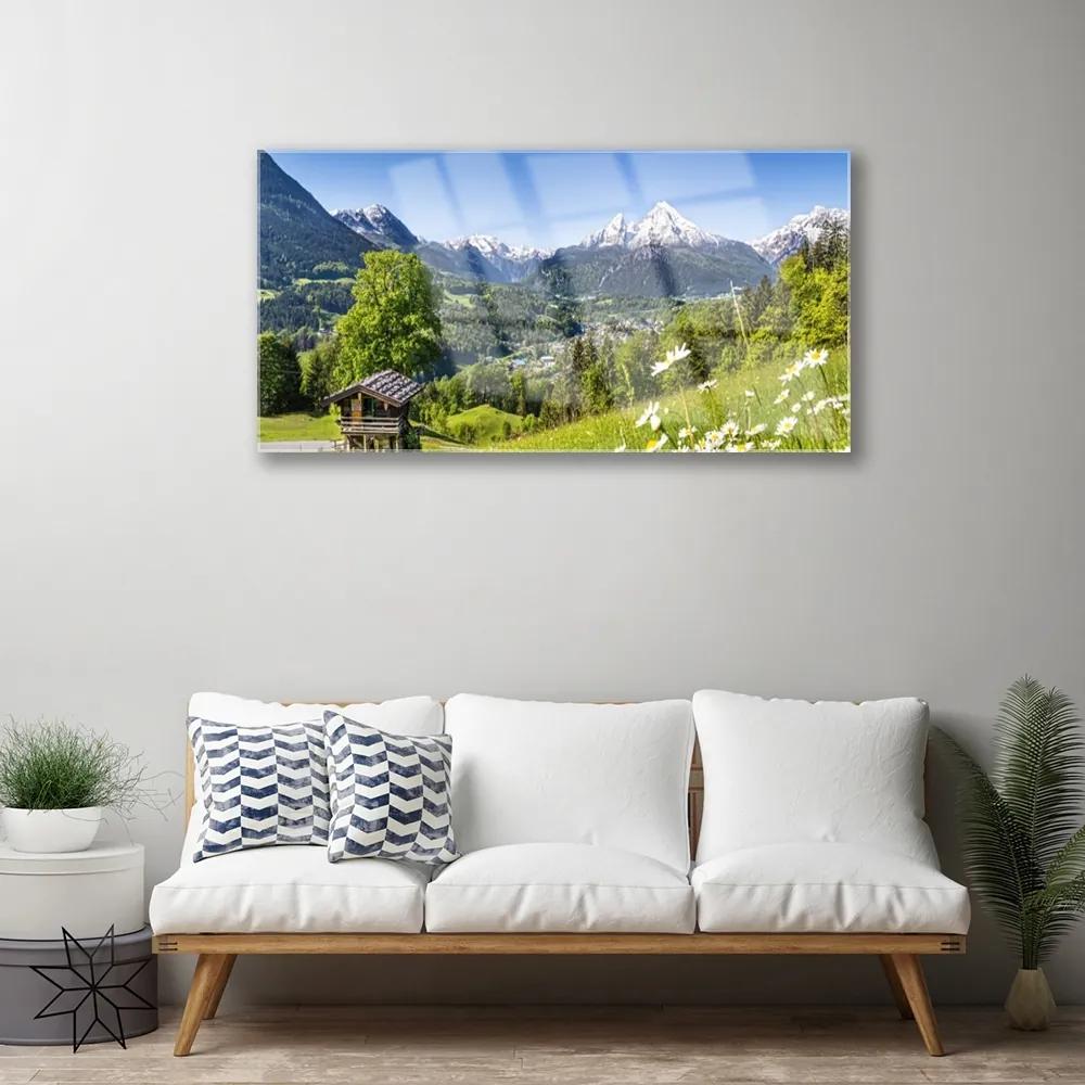 akrylový obraz Hora Pole Příroda 100x50 cm