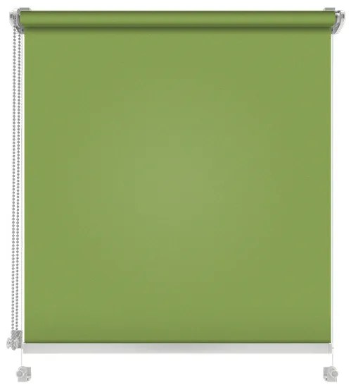 Gario Roleta Nástěnná Standard Hladká Jarní zelená Výška: 150 cm, Šířka: 97 cm