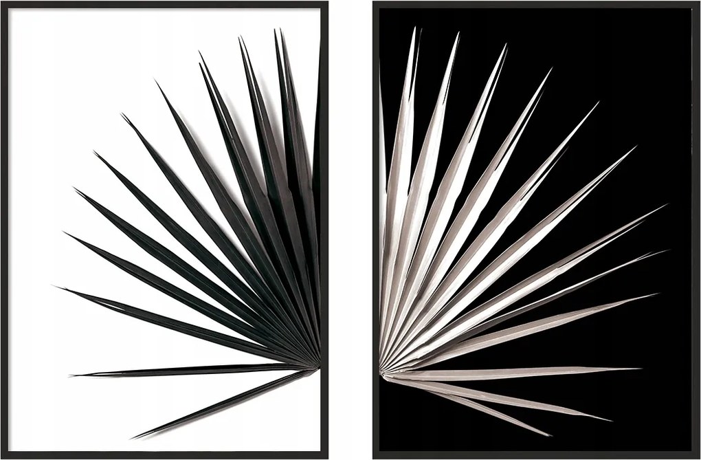 Obraz Plakáty V Rámu 53x73cm Diptych Sada 2 obrazů List Black White P974