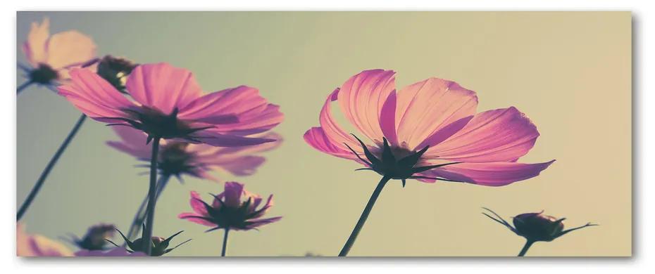 Wallmuralia Moderní akrylový fotoobraz Růžové květiny 125x50 cm