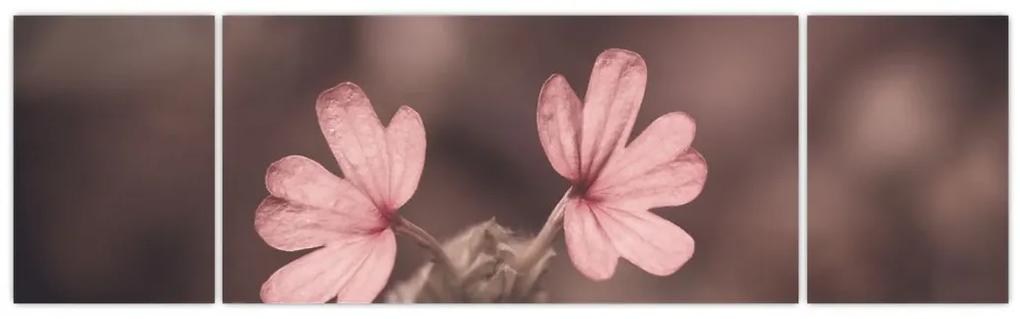 Obraz růžového květu (170x50 cm)